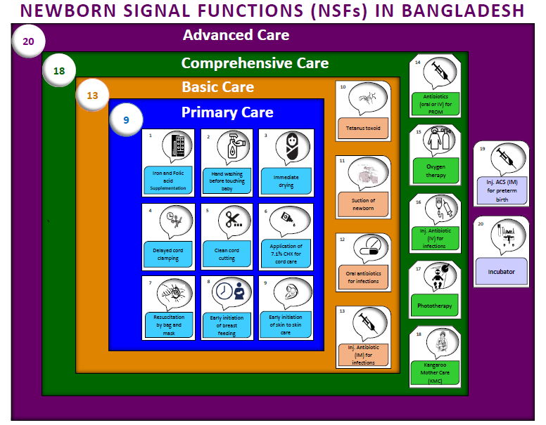 Online workshop with newborn experts for Newborn Signal Functions ...