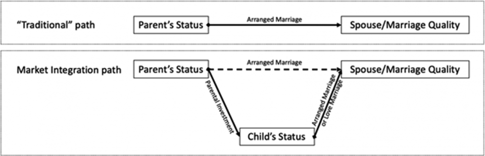 Evolving marriage dynamics in rural Bangladesh | GLOBAL HEALTH INSIGHTS